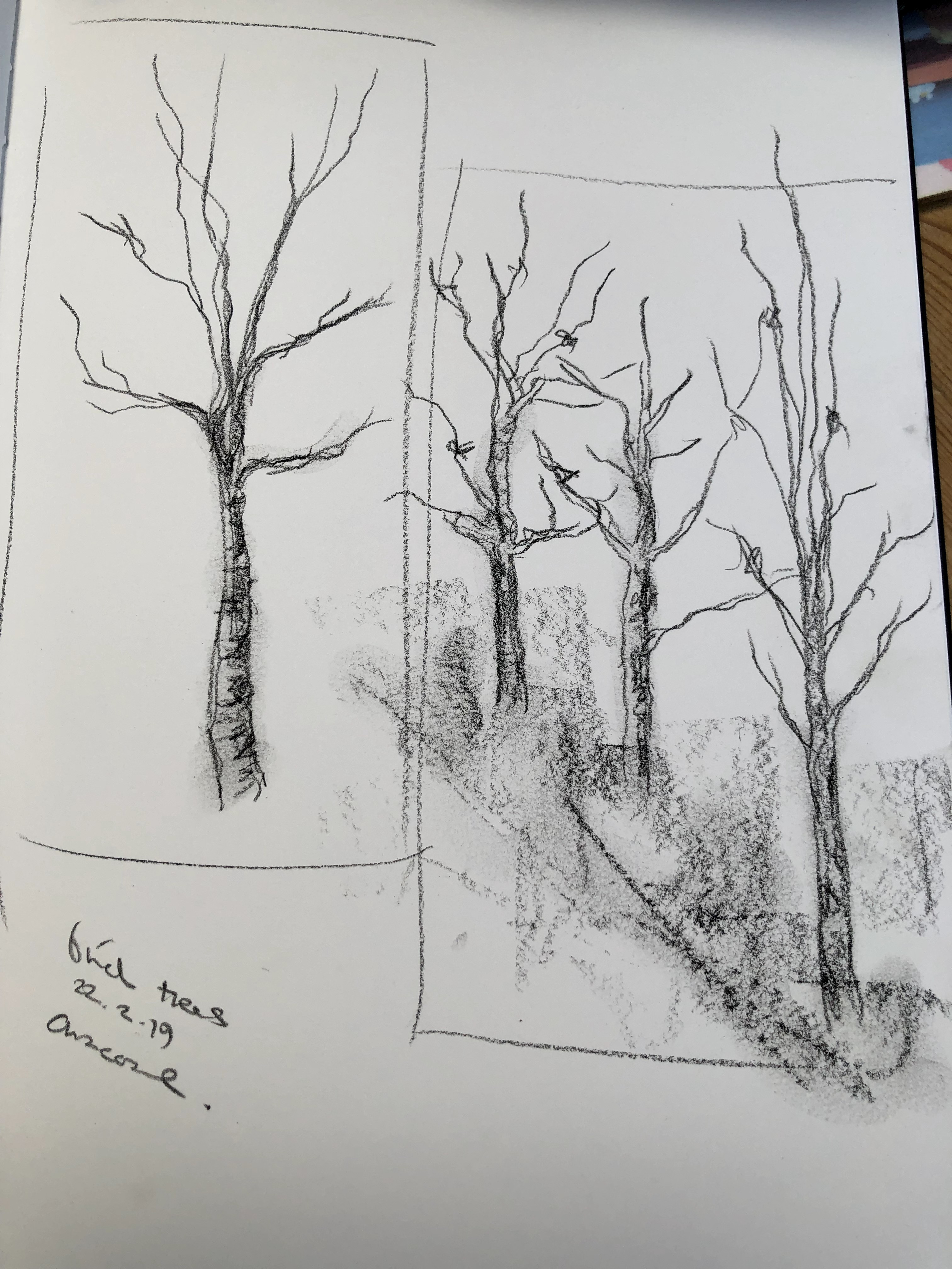 Part 3, project 1, exercise 1 and 2 – trees – Strayfish Arts